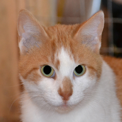 Our Sponsors Contact Us