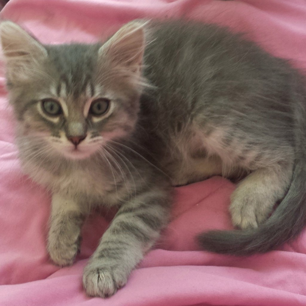 Our Sponsors Contact Us