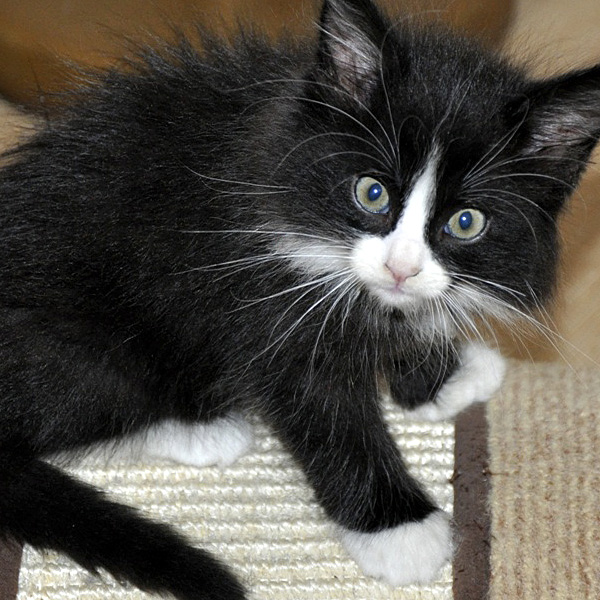 Our Sponsors Contact Us