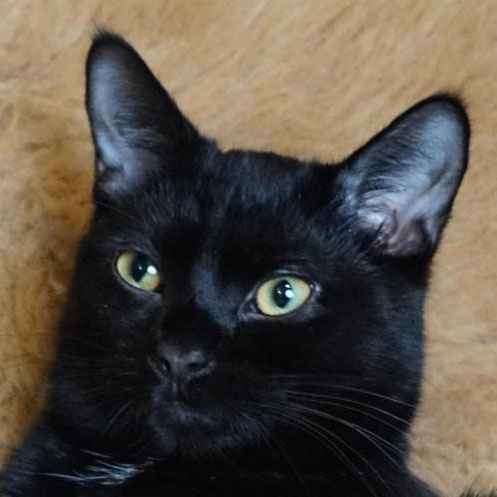 Our Sponsors Contact Us